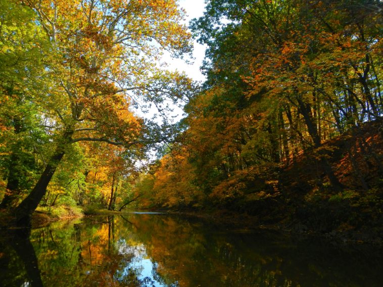 Watershed Orgs - POWR Pennsylvania Organization for Watersheds and Rivers