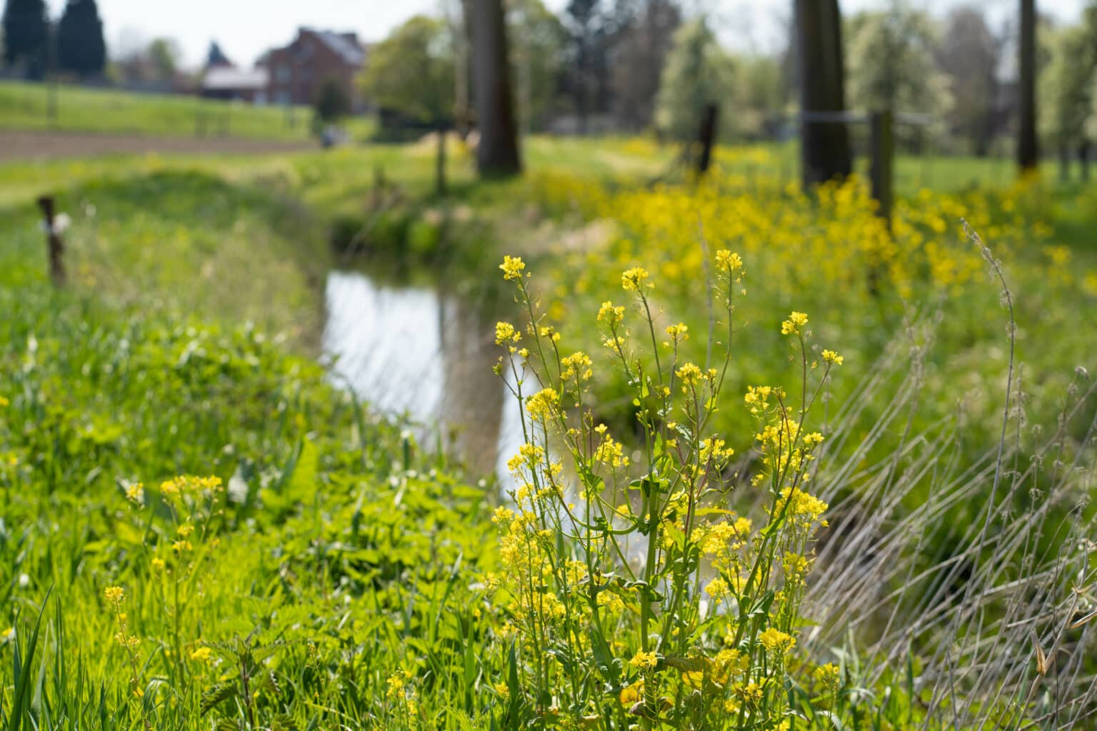 Attend an Event - POWR Pennsylvania Organization for Watersheds and Rivers